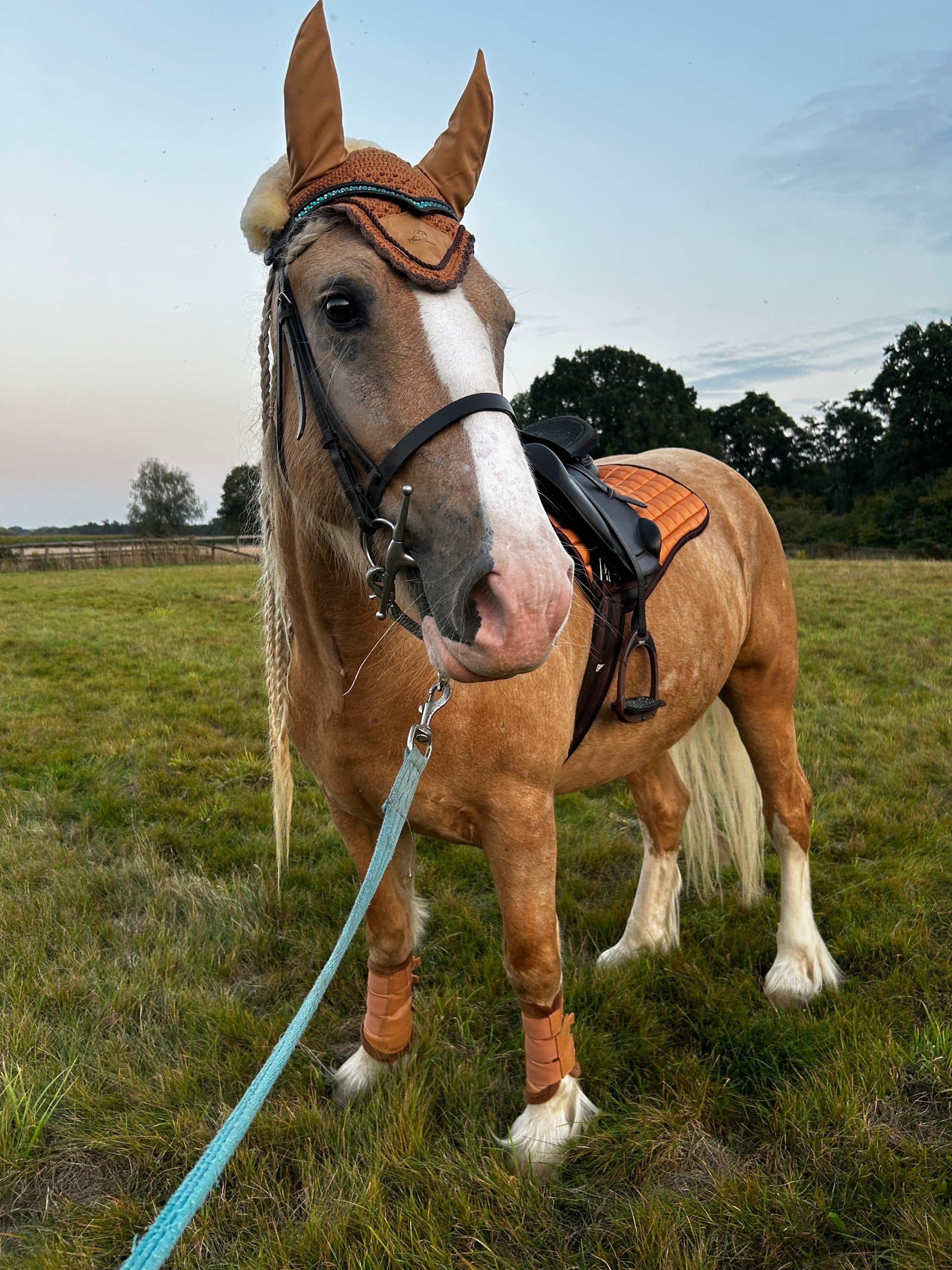 The Toffee Collection – Âme Soeur